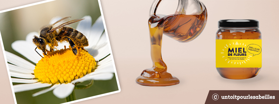 Parrainez des abeilles