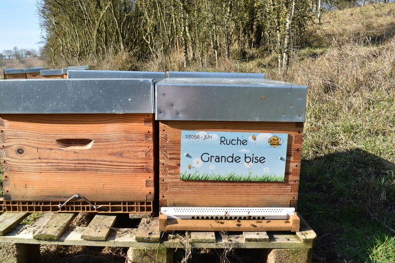 La ruche Grande bise parrainée