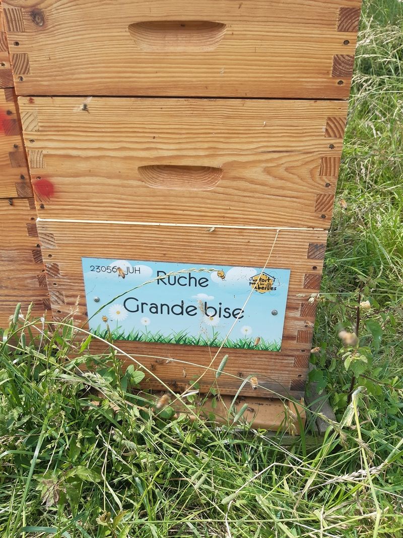 La ruche Grande bise parrainée