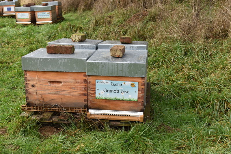 La ruche Grande bise parrainée
