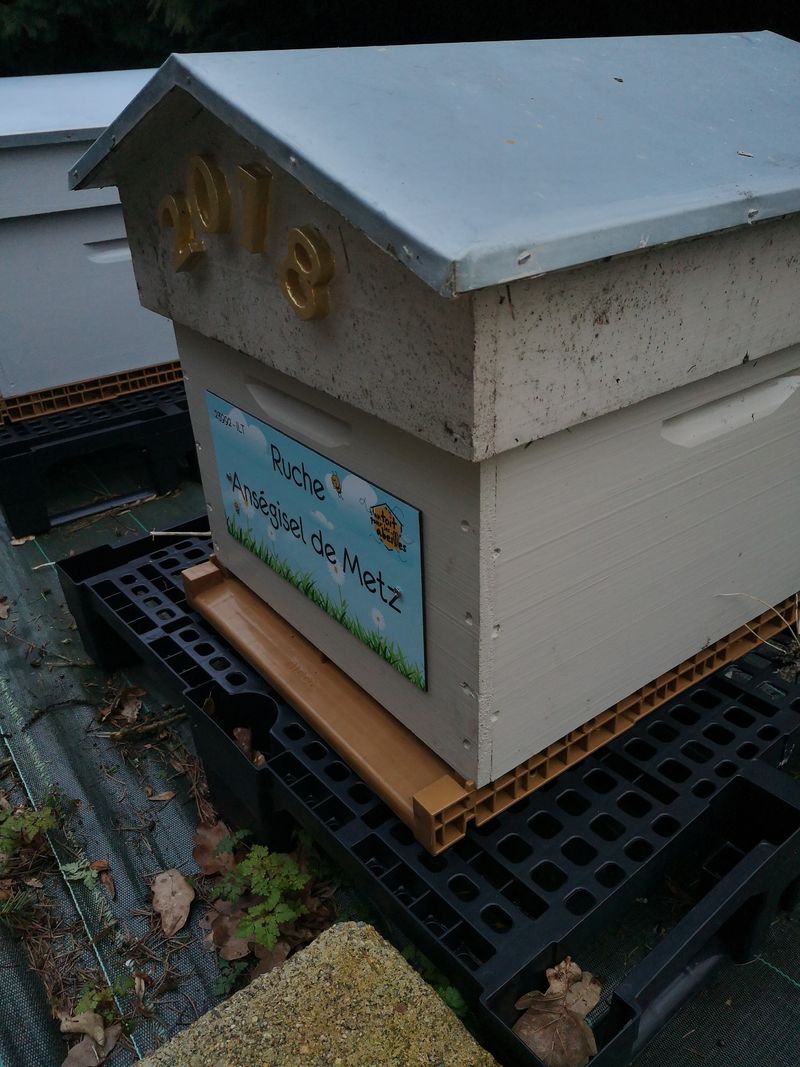 La ruche Anségisel de Metz parrainée